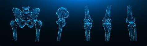 진한 파란색 배경에 골반 엉덩이 관절과 무릎 관절의 뼈의 다각형 벡터 그림 인간의 골격 해부학 의료 템플릿 디지털 생성 이미지에