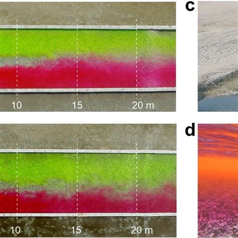 Flow Visualizations In The Field Based Experiments Ab Patterns Of