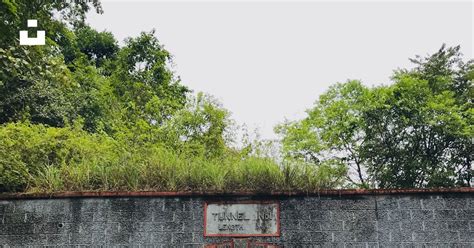 낮 동안의 회색 콘크리트 터널 사진 Unsplash의 무료 26 이미지