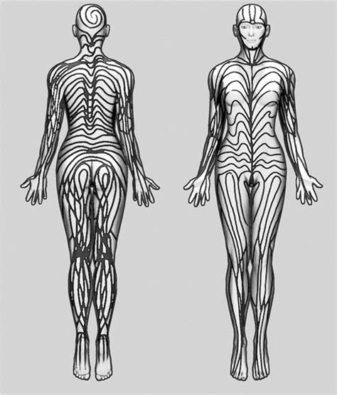 One Weird Thing I Learned Today Blaschkos Lines