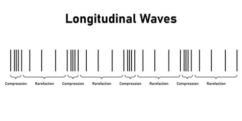 1 Hundred Compression Rarefaction Longitudinal Wave Royalty Free