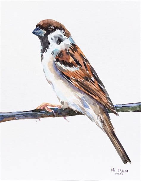Sparrow On The Branchsparrow Drawing Bird Art Original Watercolor