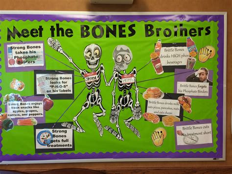 Pin On Renal Education