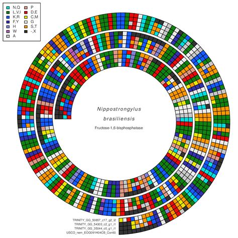 Pretty Multiple Sequence Alignments R Bioinformatics