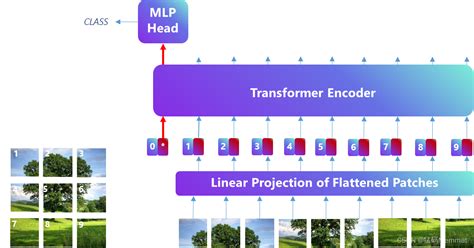 【36k字】从attention讲解transformer及其在vision中的应用（附pytorch代码）transformer