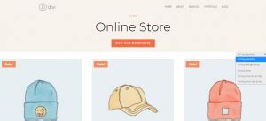 How To Create Filtered Sidebars For Your Divi WooCommerce Pages Elegant Themes Blog