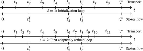 Illustration Of Exemplary Temporal Meshes For The Initial Loop And The