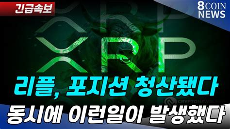 리플 심상치 않아 Youtube