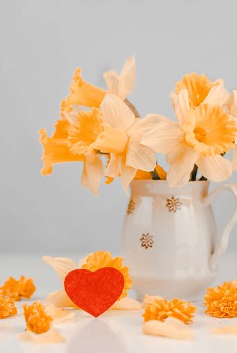 봄 엽서 수선화 꽃다발과 밝은 배경에 붉은 심장이있는 꽃병 3월에 대한 스톡 사진 및 기타 이미지 3월 개화기 계절 Istock