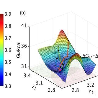 Three Optimization Pathways Which Maximize The TOF In A Twodimensional