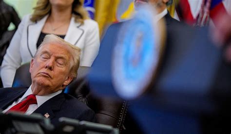 ‘sleepy Donald Social Media Reacts As Trump Appears To Doze Off