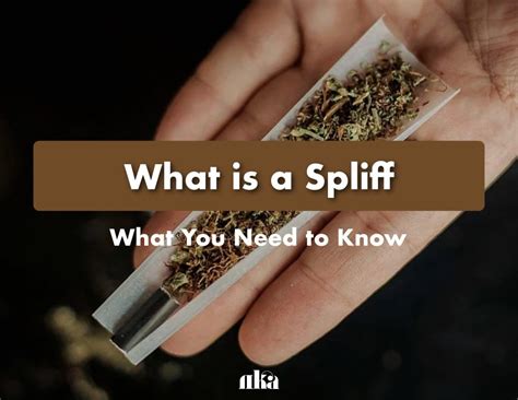 What Is A Spliff What You Need To Know