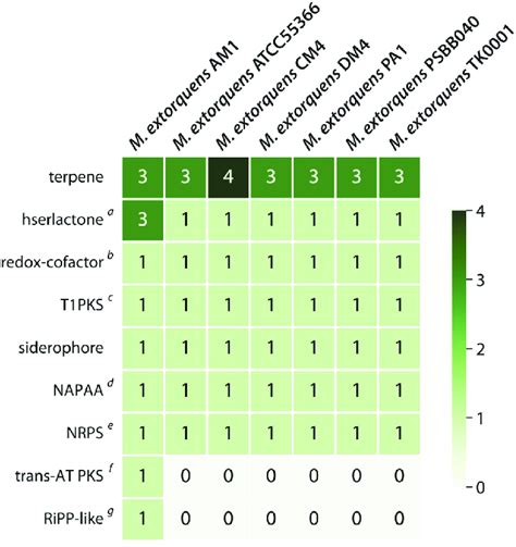 Prediction Of Secondary Metabolite Biosynthetic Clusters The Number Of