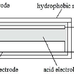 Construction Of An Electrochemical Sensor Download Scientific Diagram