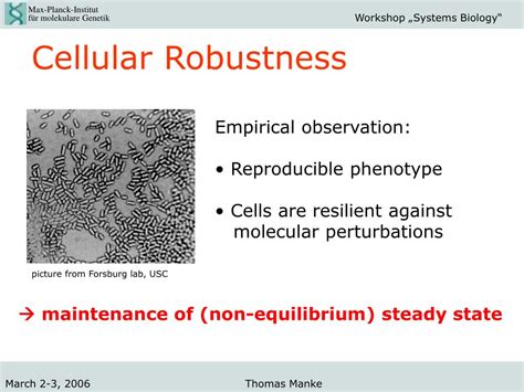 Ppt Robustness And Entropy Of Biological Networks Powerpoint