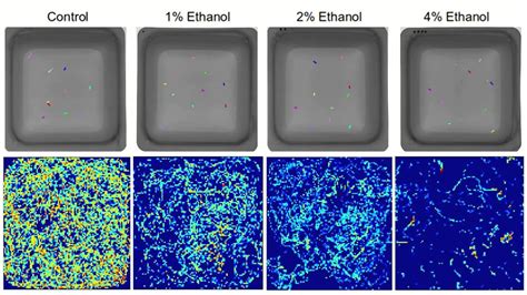 Heatmap For The Trajectory Data In R Stack Overflow