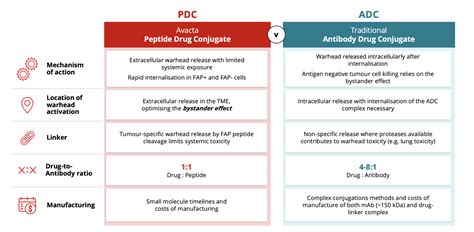 Precision Drug Conjugate Pdc Avacta Group Plc