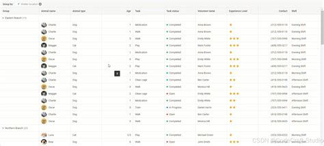 js ui库dhtmlx suite v9 0重大版本更新！新增行数据分组等将数据管理功能提升到新高度！ react js 引入 dhtmlx