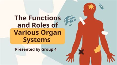 Organ Systems Ppt Science Grade 11 1st Q Pptx