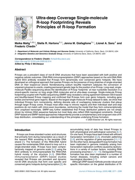 Pdf High Throughput Single Molecule R Loop Footprinting Reveals