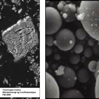 Microscopic Picture Of Bio Ash The Figure Microscopic Picture Of Download Scientific