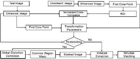 Figure 1 From Normalized Cross Correlation Based Global Distortion Correction In Fingerprint