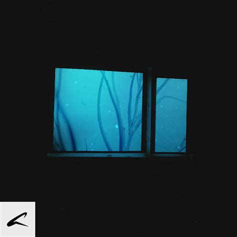 Eclectica Youtube Music