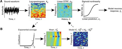 Figure 1 From Incorporating Midbrain Adaptation To Mean Sound Level Improves Models Of Auditory