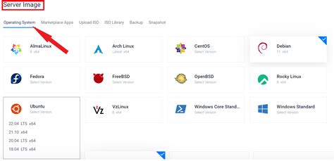 How To Host And Install Php Script On Vultr 2025 The Definitive