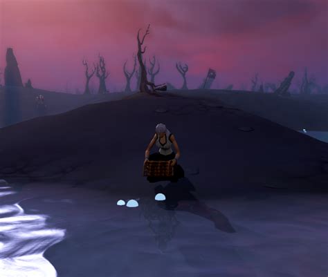 Wilderness The Runescape Wiki