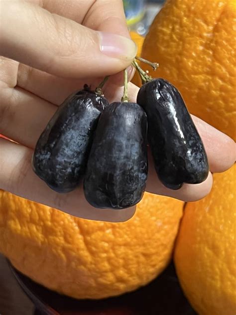 웃기게 생긴 포도 … 인스티즈 Instiz 일상 카테고리