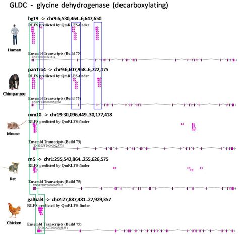 Rlfs In Different Genic And The Proximal Gene Regions And Across