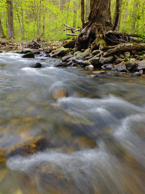 무료 이미지 나무 숲 록 폭포 작은 만 황야 하이킹 잎 강 흐름 봄 반사 가을 빠른 물줄기 바위 크리에이티브 커먼즈 저조한 좁은 골짜기