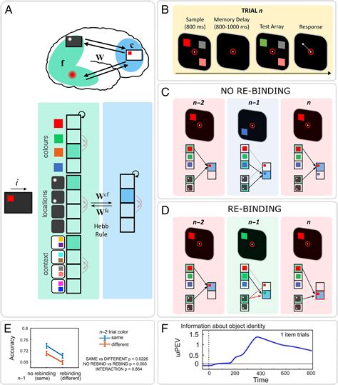 Neural Signature Of Flexible Coding In Prefrontal Cortex Pnas