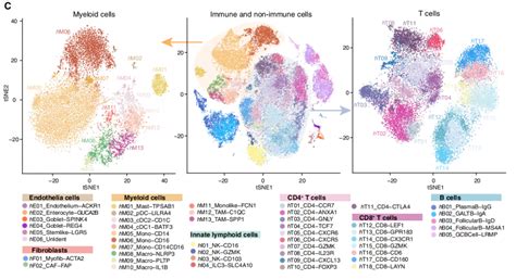 单细胞转录组测序解析结肠癌骨髓靶向治疗的机制 知乎