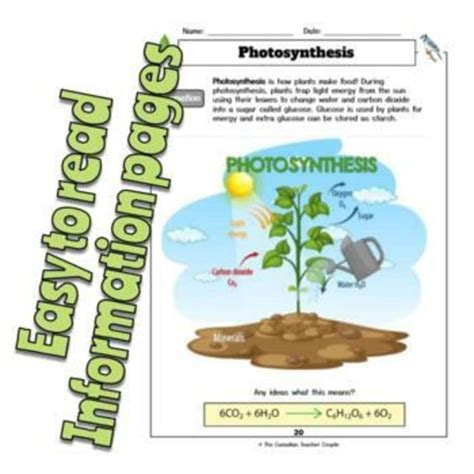 Grade 6 Science Ecology Unit New Alberta Curriculum Tpt