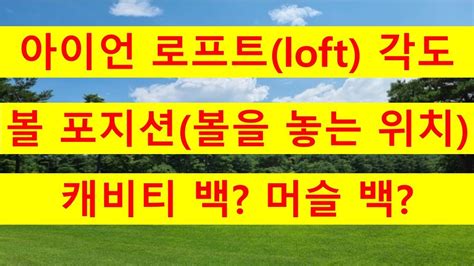 아이언 로프트 각 라이 각 라이앵글 골프공 놓는 위치 볼 포지션 드라이브 아이언 셋업방법 캐비티 백 머슬 백