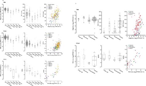 Figure 4 From Pan Cancer Gene Expression Analysis Of Tissue Microarray
