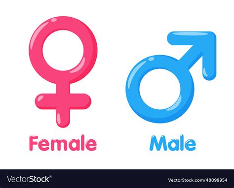 Gender Symbol Meaning Of Sex And Equality Vector Image