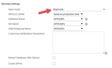 Mount Settings Dell Appsync Integration With Oracle Database Server