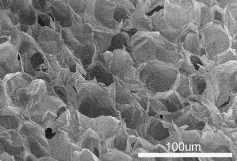 Collagen Sponge And Preparation Method Thereof Eureka Patsnap