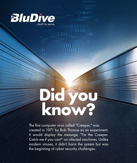 bludive technologies ltd on linkedin funfact innovation ict bludive