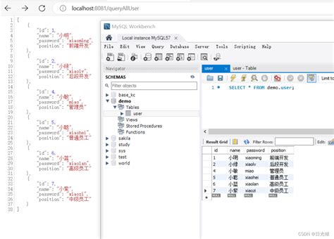 【springboot实战练习——后端部分】从零开始的 Springboot搭建网站教程（进阶版） Csdn博客