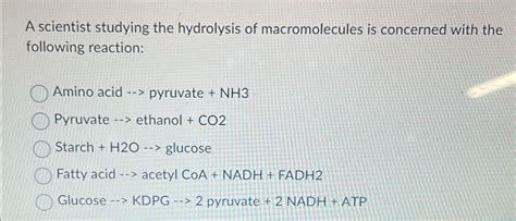 Solved A Scientist Studying The Hydrolysis Of Macromolecules Chegg
