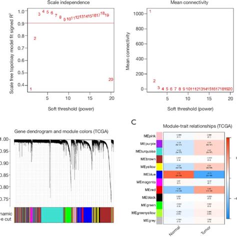 Identification Of The Soft Threshold Power In WGCNA A Scale Free