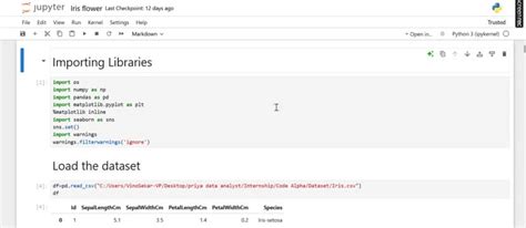 Priyanka Thulasidas On Linkedin Codealpha Task2 Codealpha Dataanalyst Datascience