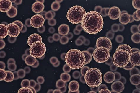 Removal Of Runx1 Tf Gene Targeting May Contribute To Eradication Of Aml Cancer Cells