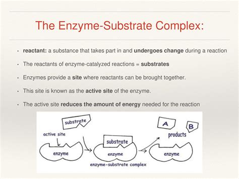 Pre Ap Biology Chapter 2—section 4 Ppt Download
