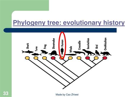 ppt part ii sequence comparison multiple sequence alignment