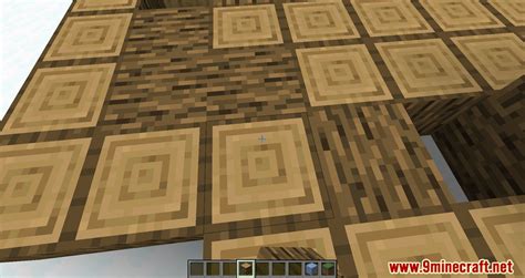 Accurate Block Placement Mod 1minecraft